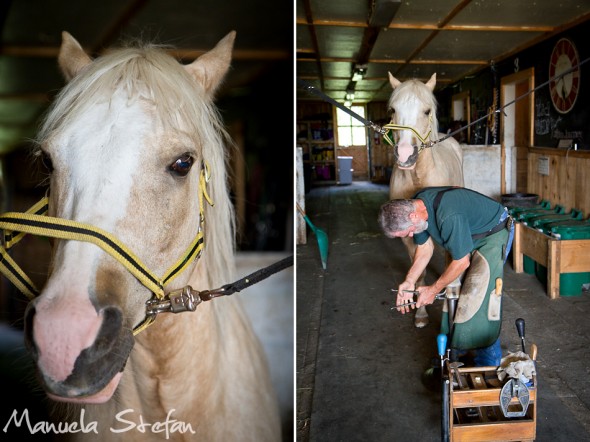 Bob Bartlett, a soulful Ontario farrier - Equine photography by Manuela ...