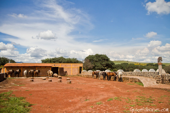 Rancho Las Cascadas, Mexico